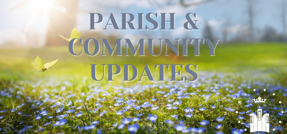 Parish & Community Updates – St. Stephen Catholic Church
