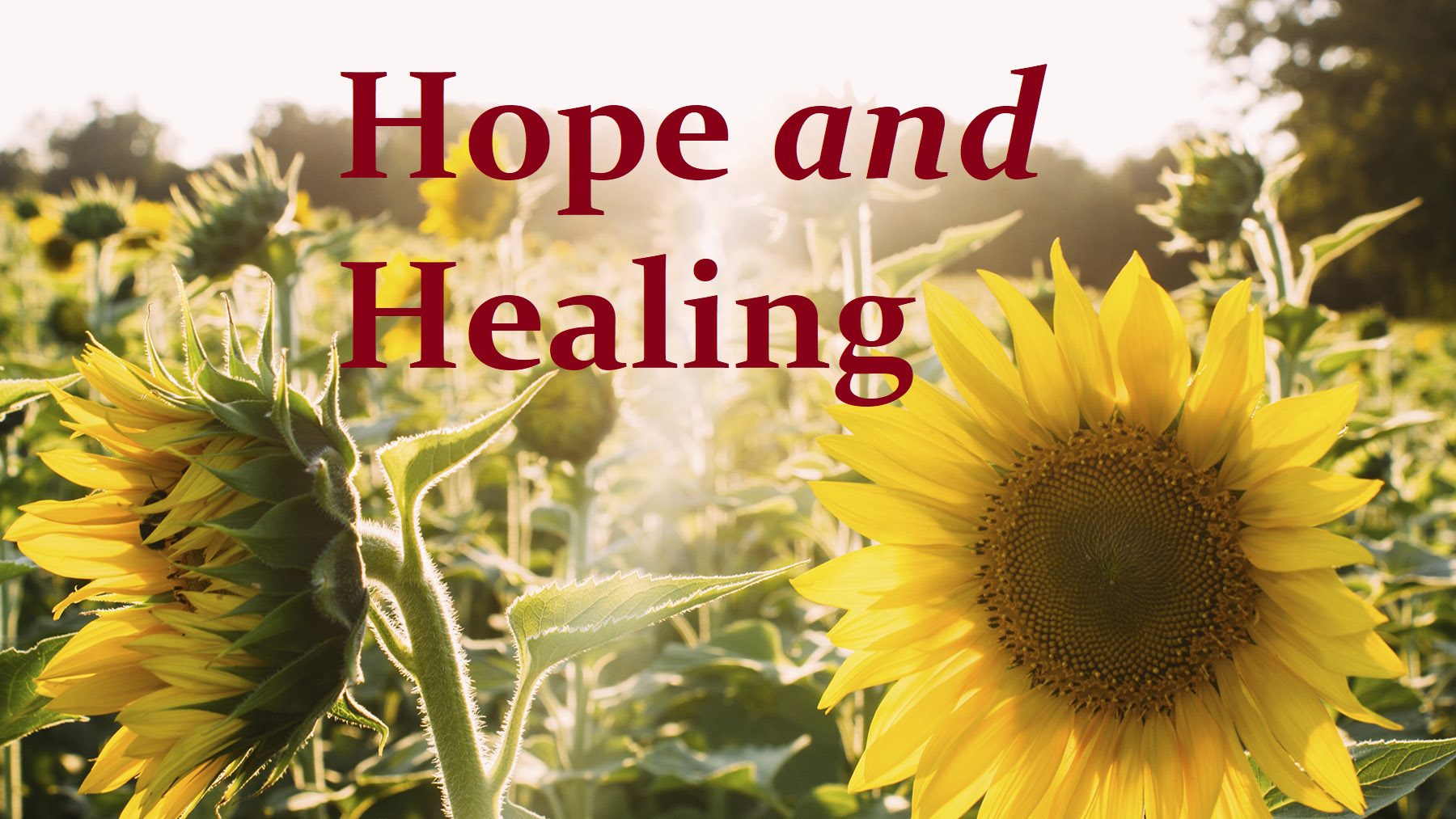 Hope & Healing Ministry – St. Stephen Catholic Church